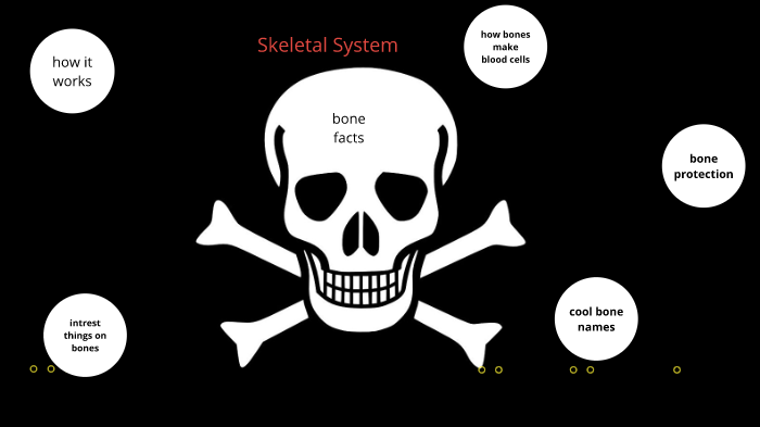 Skeletal system by Nathanial Jester on Prezi