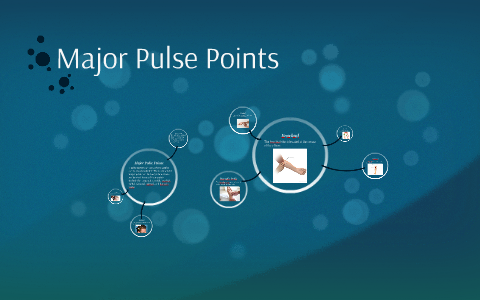 Major Pulse Points by Ashton Campbell on Prezi