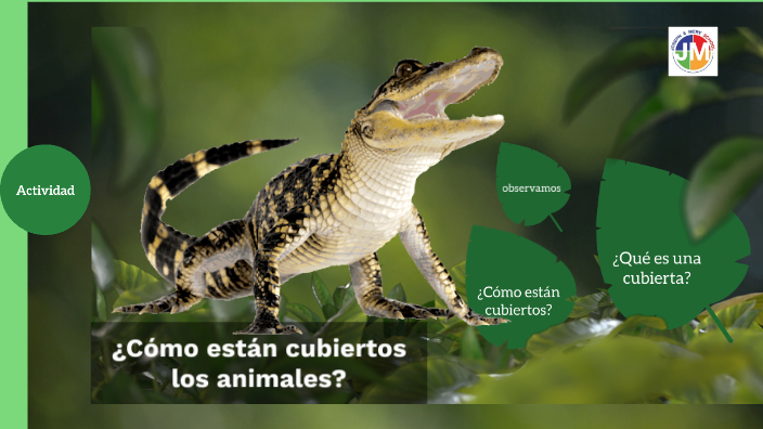 Cubierta de los animales by Georgia Uipan on Prezi