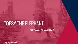 Topsy the Elephant and Thomas Edison by Kylie Berck on Prezi Design