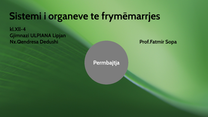Sistemi i organeve te frymarrjes by Agnesa Dedushi on Prezi