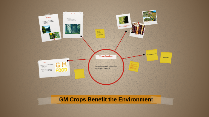 GM Crops Benefit the Environment by Amy Giang on Prezi