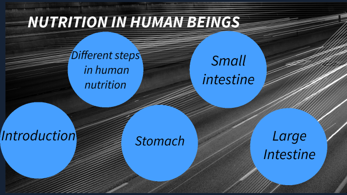Nutrition in human beings by rebecca samuel on Prezi