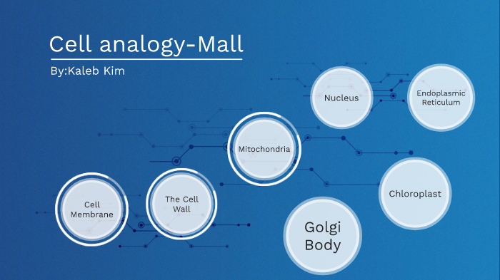 Cell Analogy Kaleb Kim by Kaleb Kim on Prezi