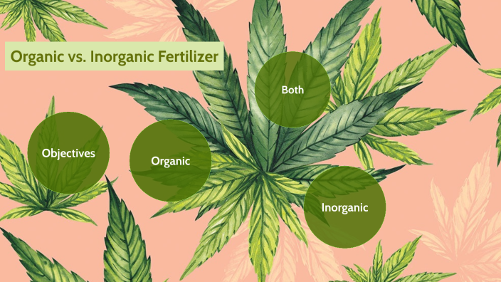 Organic vs. Inorganic Fertilizer by Rebecca Leone on Prezi