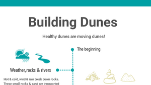 Dune Timeline by David Kilner on Prezi Design
