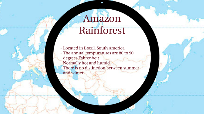 Amazon Rainforest Food Web by Ashley Beyer on Prezi