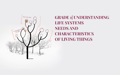 GRADE 1| UNDERSTANDING LIFE SYSTEMS by Katie Wardlaw on Prezi