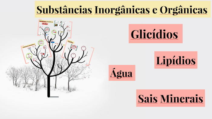 Substâncias Inorgânicas e Orgânicas by lidiana lima on Prezi