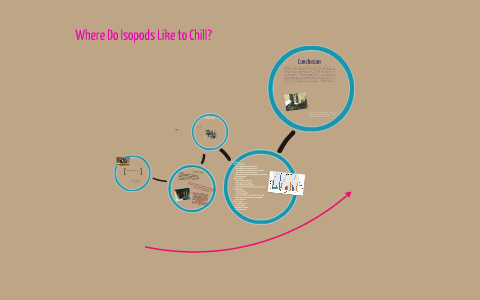 Roly Poly Lab by Shelly Granados on Prezi