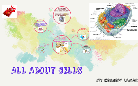 all about cells by kennedy lamar on Prezi