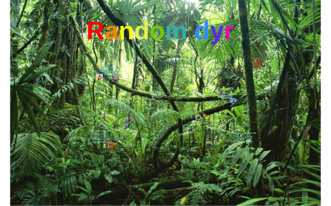 Random dyr by Josephine Motet Jessen on Prezi