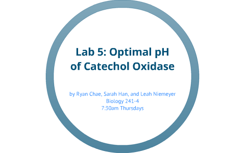 Lab 5 Enzyme 3 Presentation by Leah Niemeyer on Prezi