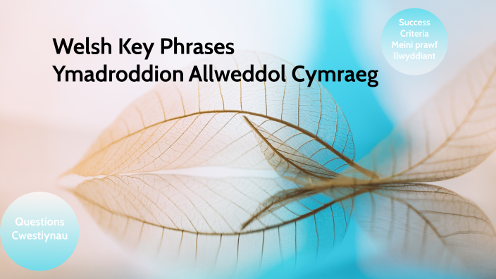 Welsh Key Phrases Ymadroddion Allweddol Cymraeg by Natasha Bohannon on ...