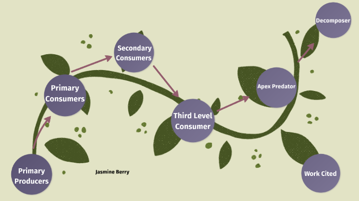 Alabama Food Web by Jasmine Berry on Prezi