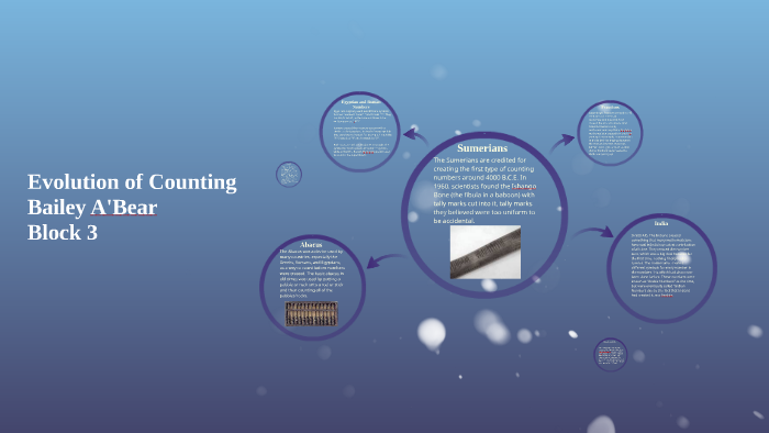 Evolution of Counting by Bailey A'Bear on Prezi