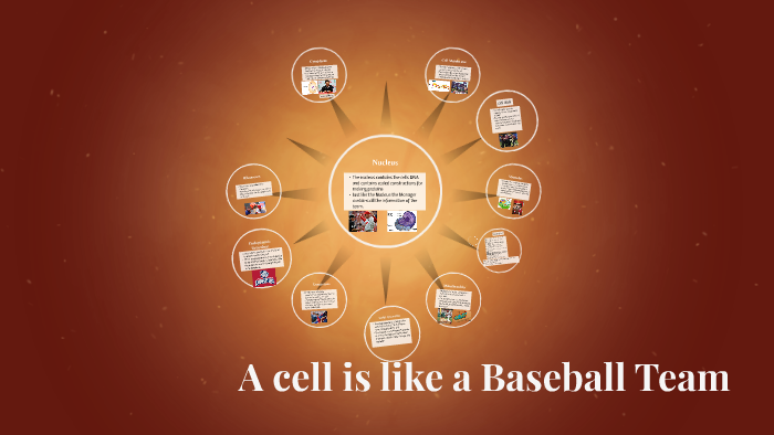A cell is like a Baseball Team by Dhaval Patel