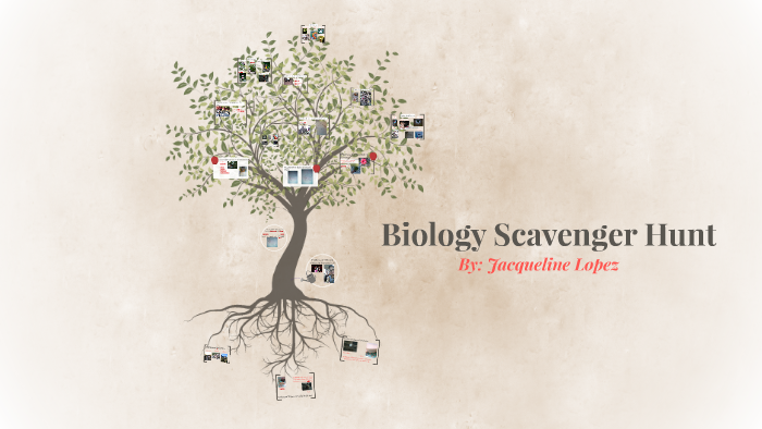 Biology Scavenger Hunt by Jacqueline L on Prezi