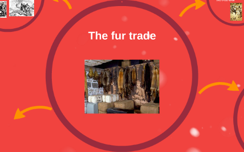 Canadian Fur trade by param hehar on Prezi