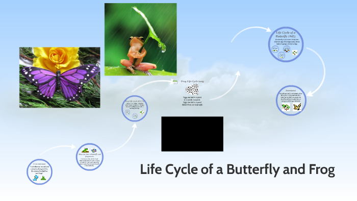 Life Cycle of a Butterfly and Frog by Ruth No on Prezi