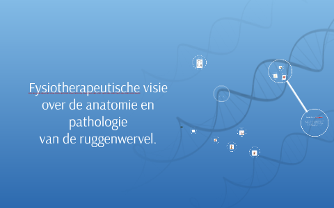 Anatomie en pathologie van de ruggenwervel by Evelien van Doorn on Prezi