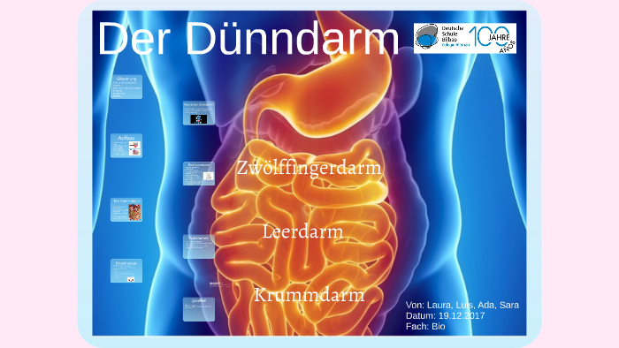 Der Dünndarm by Sara Gadea on Prezi