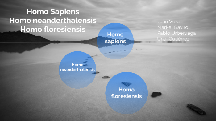 HOMO FLORENSIS; HOMO NEARTHENTALENSIS; HOMO SAPIENS by unai Guti Marra ...