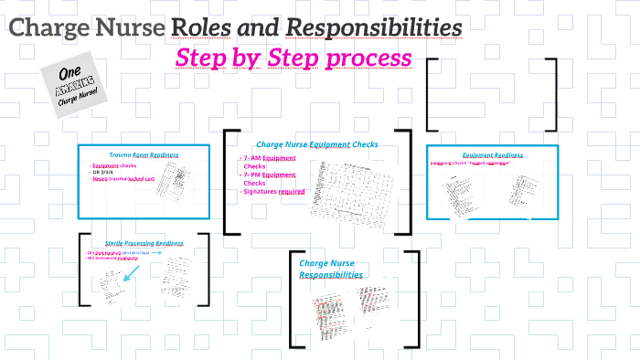 Charge Nurse roles and responsibilities by Stephanie Nunn on Prezi