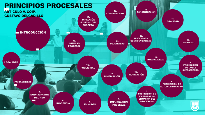 PRINCIPIOS PROCESALES by gustavo delgadillo on Prezi