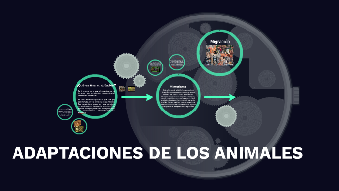 ADAPTACIONES DE LOS ANIMALES by Barbara Galleguillos on Prezi