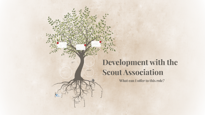 Development with the Scout Association by Harry Coulton on Prezi
