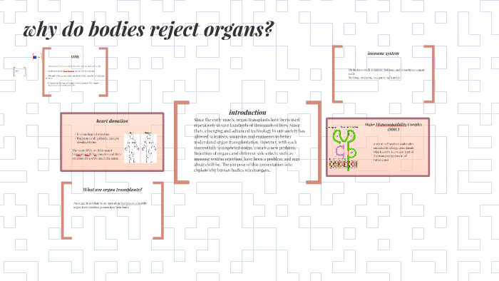 why do bodies reject organs? by Yanwen Mao on Prezi