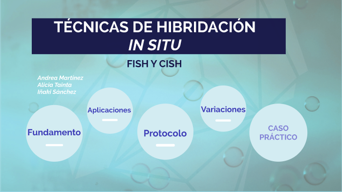 FISH Y CISH by Andrea Martínez on Prezi