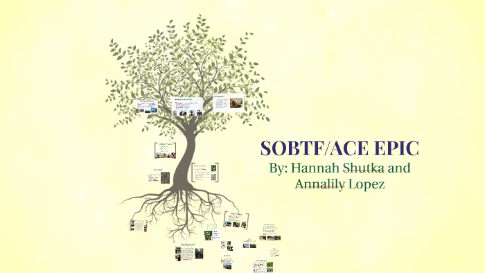 ACE EPIC Presentation by Hannah Shutka on Prezi