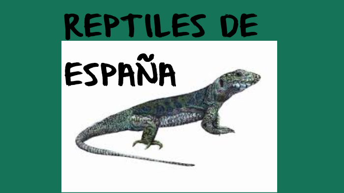 REPTILES DE ESPAÑA by FRANCISCO HERRERO on Prezi