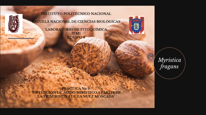 TRIMIRISTINA by Paulina Sánchez on Prezi