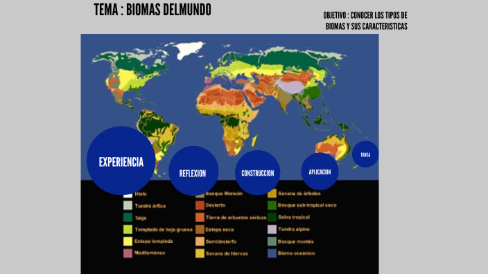 TEMA : BIOMAS DEL MUNDO.. by franklin garcia on Prezi