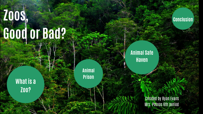 Zoos, Good or Bad? by Ryan Evans on Prezi