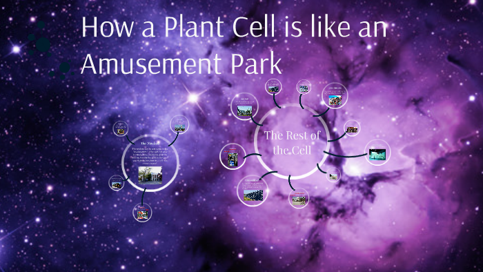 How a Plant Cell is like an Amusement Park by Madelynn Mangold on Prezi