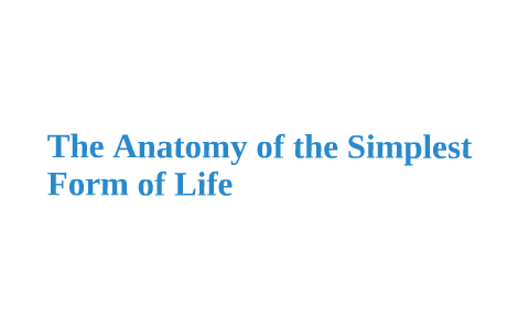 The Anatomy of the Simplest Form of Life by Hasan Didovic on Prezi