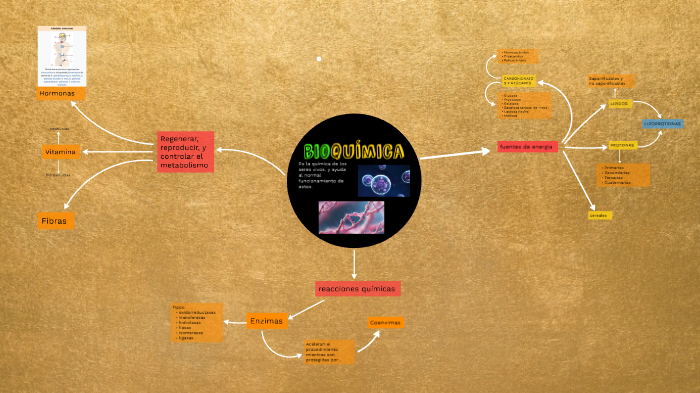 COMPUESTOS BIOQUÍMICOS by Michael Damian Martos Cuaran on Prezi