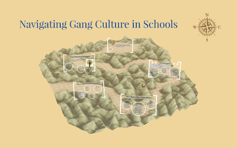 Navigating Gang Culture in Schools by Elisabeth Pilhofer