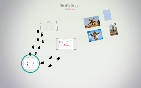 Giraffe Graph by maisie taylor on Prezi