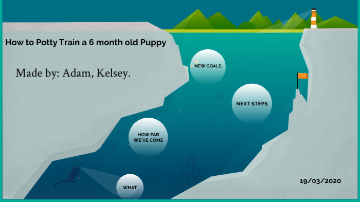 How to Potty Train a Puppy by Adam Innes on Prezi
