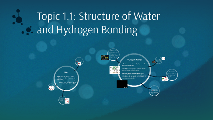 1.1: Structure of Water and Hydrogen Bonding by Kimberly Christian on Prezi