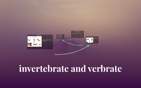 inverbrate and verbrate by sabira raisa on Prezi