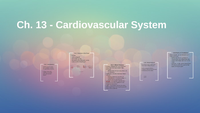 Ch. 13 - Cardiovascular System by on Prezi