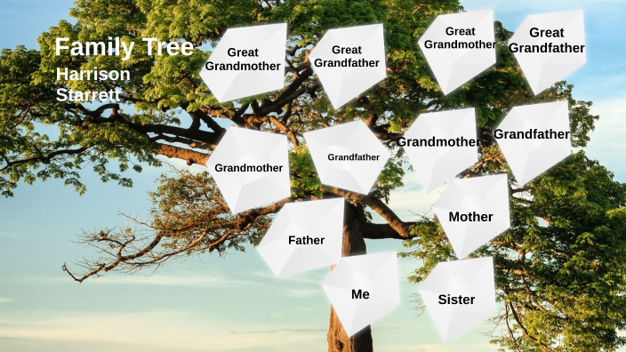 Family Tree by Riley Starrett on Prezi