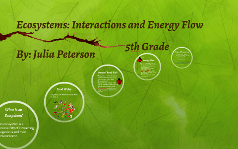Ecosystems: Interactions and Energy Flow by Julia Peterson on Prezi
