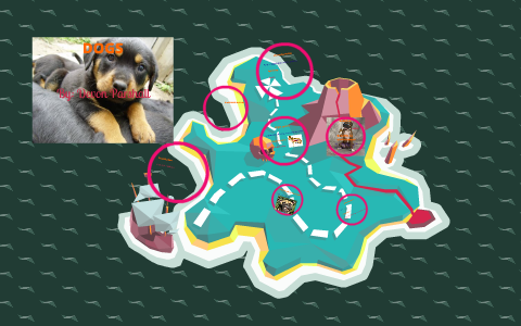 ap bio 2 by devon parshall on Prezi